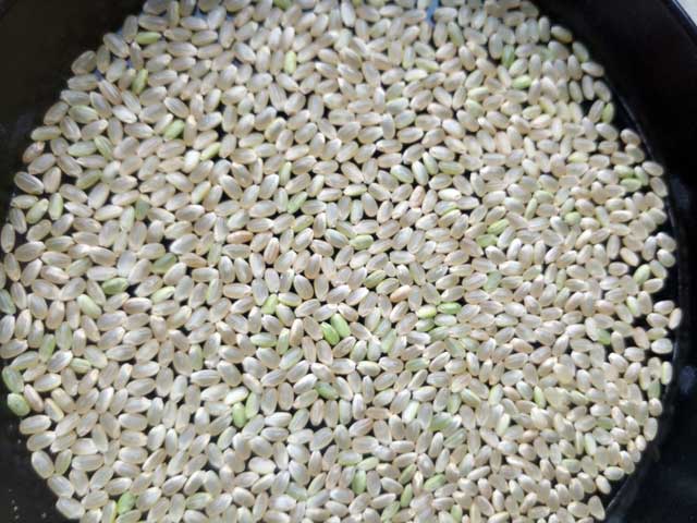 10月, 2025 | 高山農園のお米作り