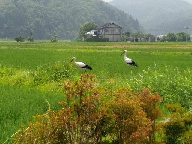 12月, 2025 | 高山農園のお米作り