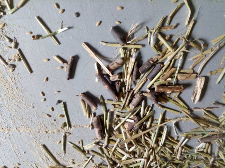 9月, 2025 | 高山農園のお米作り